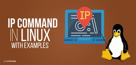 Ip To Domain Name Linux Command Domainamed