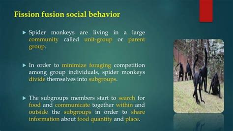 Spider Monkey Optimization Algorithm Pptx