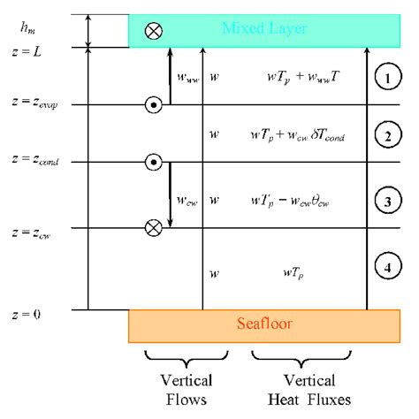 Schematic Description Of Steady State Fluxes In One Dimensional Model