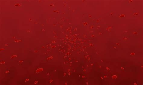Red Blood Cell Wallpapers Top Free Red Blood Cell Backgrounds