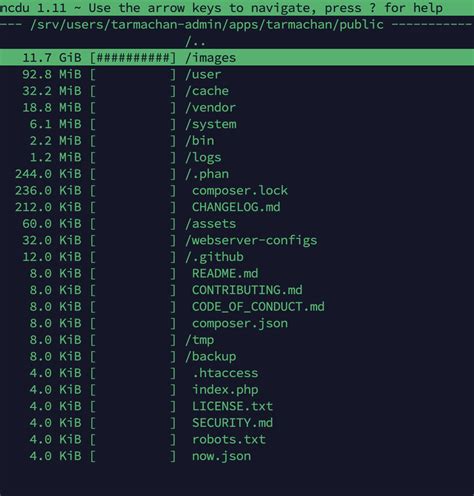 Instagram Feed Bug Generating Huge Image File Usage · Issue 296 · Getgravgrav Premium