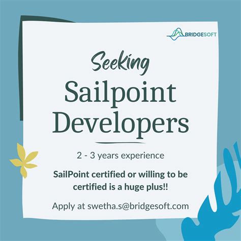 Connect With Sailpoint Developers And Elevate Your Sailpoint Journey Swetha S Posted On The