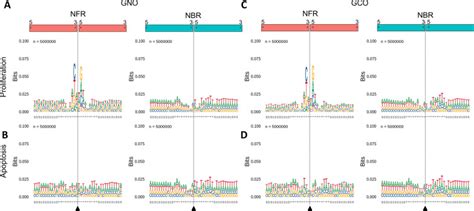 Multidimensional Fragmentomic Profiling Of Cell Free DNA Released From Patient Derived Organoids
