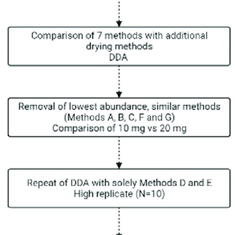 Flow Chart Of The Experimental Steps Undertaken Made Using Biorender Download Scientific Diagram