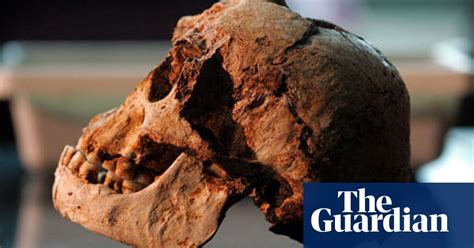 What Fossils Teach Us About Human Evolution Evolution The Guardian