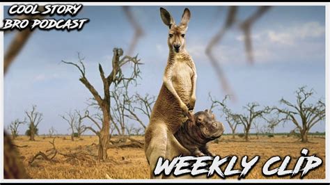 Kangaroo Sex YouTube