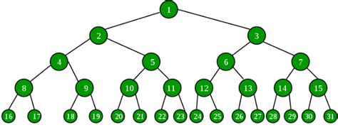 Mastering Binary Trees Wahabs Blog