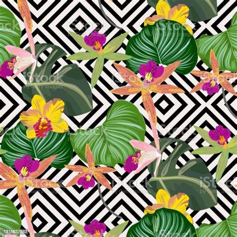 열대 식물과 잎 벡터 패턴 반복 몬스터 잎 난초 꽃 배경에 추상선형 꽃 칼라테아 Orbifolia 잎 0명에 대한 스톡 벡터 아트 및 기타 이미지 Istock