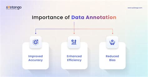 What Is Data Annotation And Why Does Your Business Need It