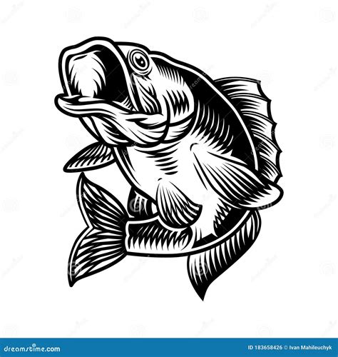 Largemouth Bass Fish Vintage Concept Stock Vector Illustration Of