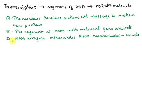SOLVED Texts RNA Processing RNA MRNA Three Steps Of MRNA Processing Draw And Label
