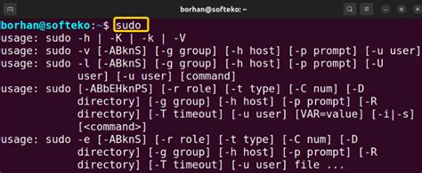 The “sudo” Command In Linux 8 Practical Examples Linuxsimply