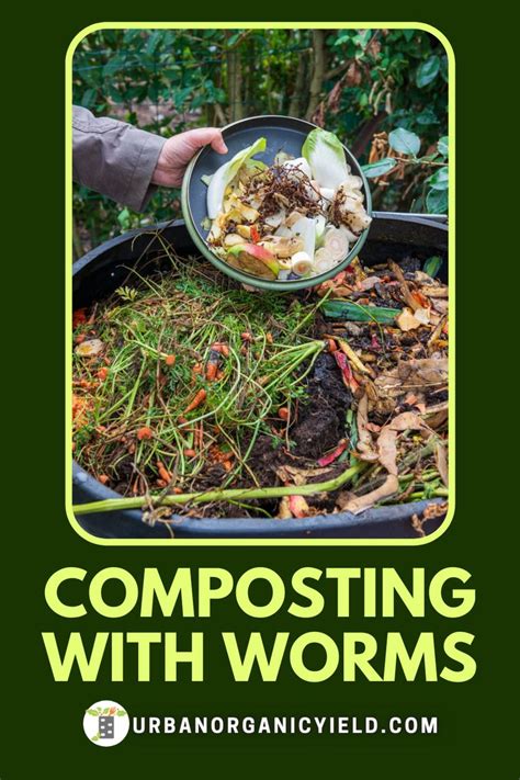 Composting Basics A Step By Step Guide