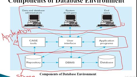 components of database environment youtube