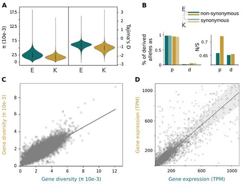 Patterns Of Genetic Diversity And Gene Expression In Emperor E Teal Download Scientific