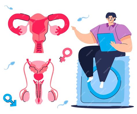 Нарисованная рукой иллюстрация секс игрушек Бесплатно векторы