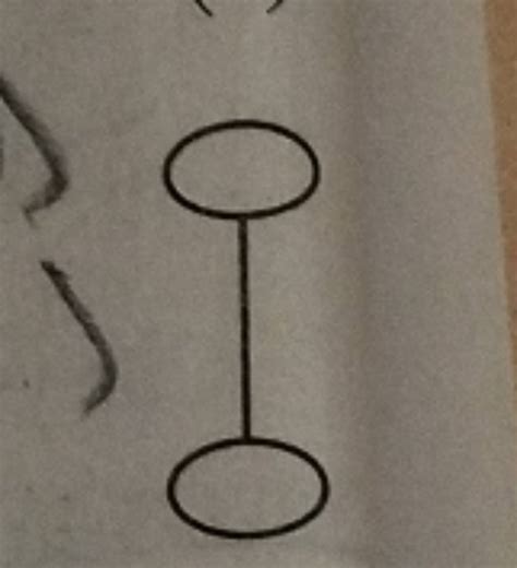 Why Is This Figure Not A Simple Curve Filo