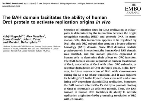 Ppt Cell Cycle Powerpoint Presentation Free Download Id 4784779