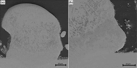 Different Magnifications Of The Boundary Between The Substrate And Clad