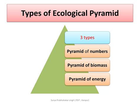 Evs UNIT Nd Ecosystem Pptx Geography Science
