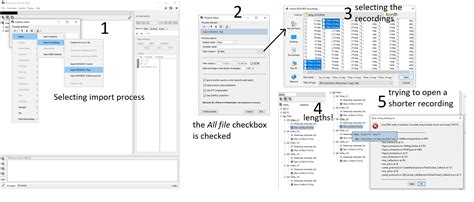 Importing Multiple Recordings Eeg Brainvision With Different Lengths Bugs Brainstorm
