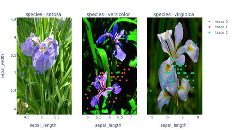 Images Only Show On First Facet · Issue 58 · Plotlyplotlyjl · Github