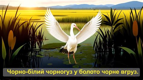 Дитячі скоромовки для чіткої вимови слів Скоромовка Чорно білий чорногуз Youtube