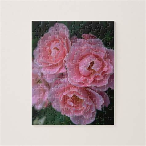 Beautiful Pink Roses Jigsaw Puzzle Zazzle