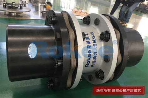 带制动盘齿式安全联轴器 荣基工业科技 江苏 有限公司