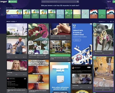 Imgur Il Servizio Online Di Condivisione Delle Immagini Dei Meme E