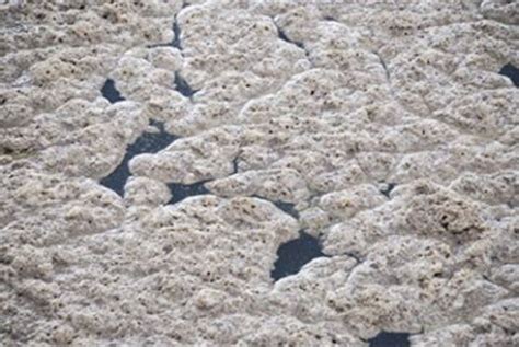 Muhammad Hazwan Mohd Hazman On Linkedin Sludge Bulking Is A Common Operational Issue In