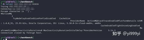 Apache Activemq 信息泄漏漏洞cve 2017 15709 知乎
