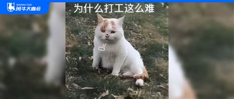 管理者如何做好时间管理？ 知乎