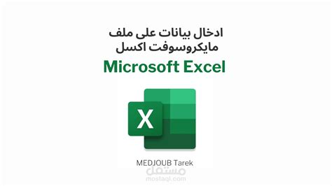 ادخال بيانات على ملف اكسل Microsoft Excel مستقل