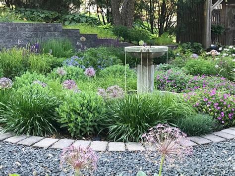 混种草花 混合花境