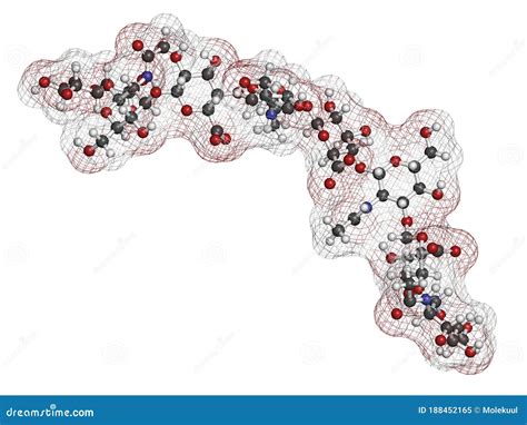 Hyaluronan Hyaluronic Acid Hyaluronate Glycosaminoglycan Molecule Short Fragment Part Of