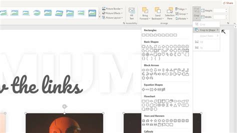 How To Crop Picture In PowerPoint PowerPoint Babe
