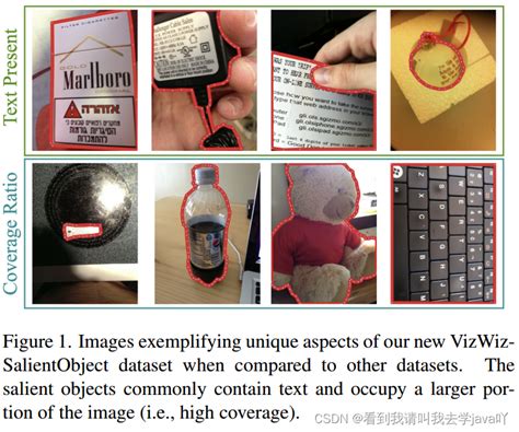 2024年显著性检测部分论文及代码汇总（1）2024显著性检测算法 Csdn博客