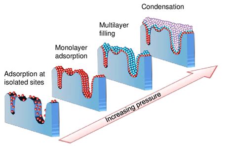 2 Adsorption Of Gas Molecules Over Porous Materials Download Scientific Diagram