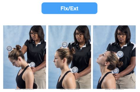 12 2 Thoracic And Cervical Spines Rom And Mmt Flashcards Quizlet