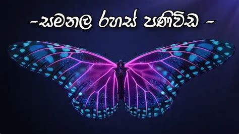 කහ රතු දම් රෝස කොළ සමනලයන් ඔබට කියන මේ රහස් ගැන දැනන් ඉදියාද 😱🦋 ️ Youtube