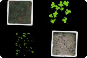 Datasets Humans In The Loop