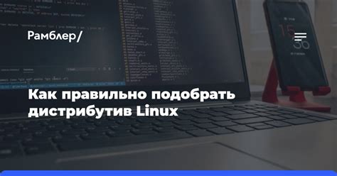 Как правильно подобрать дистрибутив Linux Рамблер новости