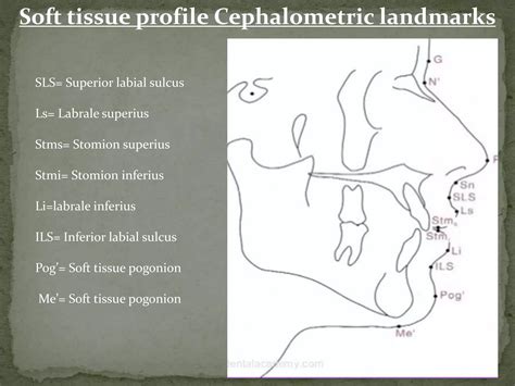 Soft Tissue Analysis Pptx