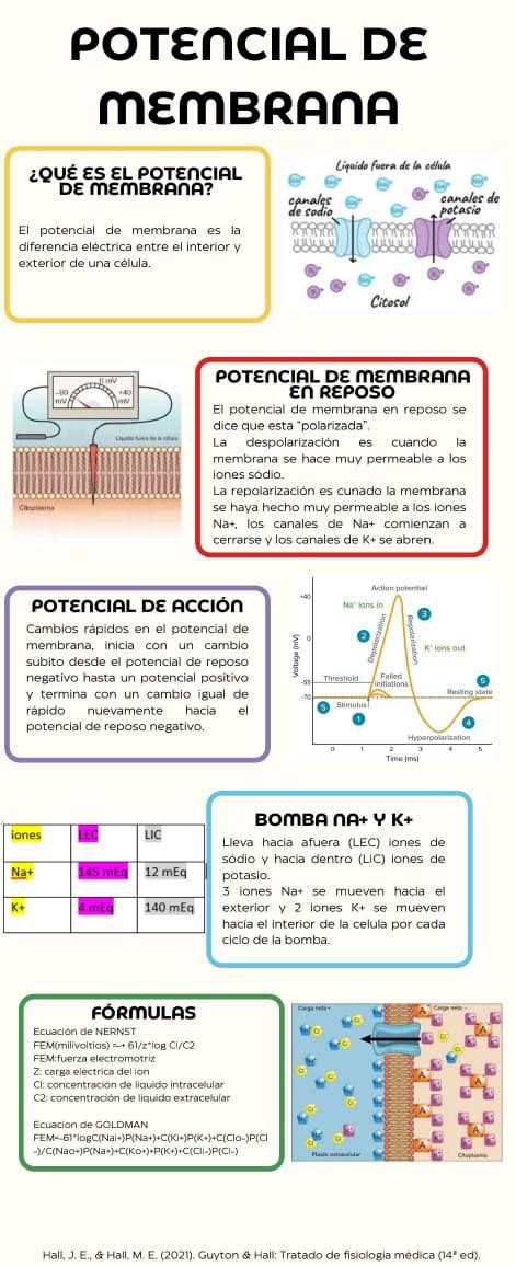 Potencial De Membrana
