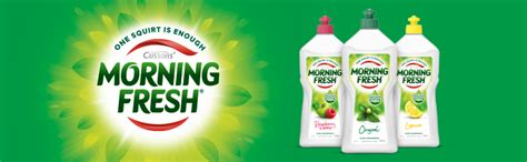 Morning Fresh Dishwashing Liquid Lemon 3 X 900 Ml Au