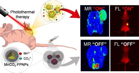 암 진단·치료 한 번에생명연 새로운 나노바이오 소재 개발