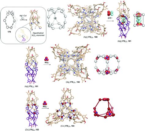 Anion Driven Reconfiguration Of A New Class Of Metal Organic Download Scientific Diagram
