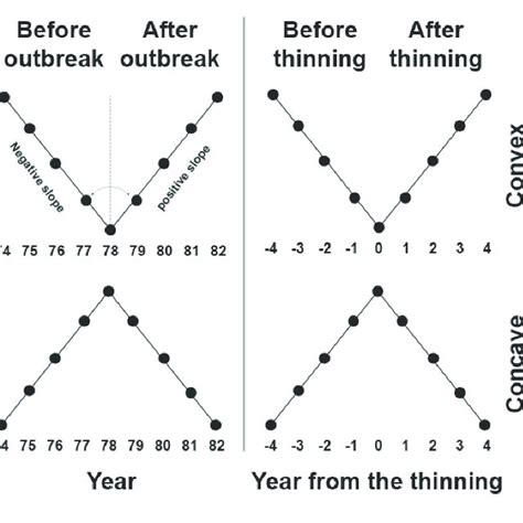 Example Of The Segmented Models Used For Identifying Convex And
