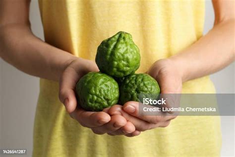 하얀 바탕에 신선하게 익은 베르가못 과일 더미를 들고 있는 여성 클로즈업 베르가못에 대한 스톡 사진 및 기타 이미지 베르가못 손 감귤류 과일 Istock